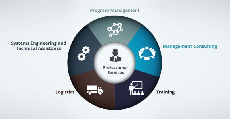 Professional Services - Sev1Tech, LLC.